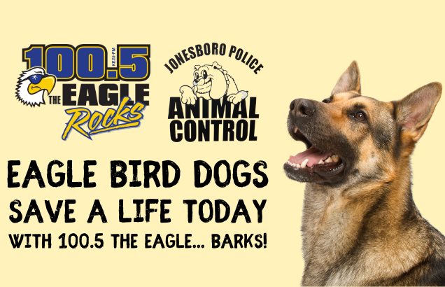EAGLE BIRD DOGS | 100.5 The Eagle – Jonesboro, AR